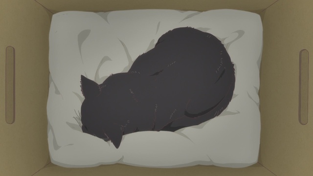 She and Her Cat -Everything Flows- Ella y su cielo - Ver en Crunchyroll