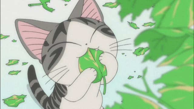 Chi's Sweet Home - Chi's New Address Season 1 Chi, Is Stopped. - Watch ...