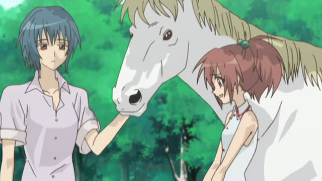 Strawberry Panic Summertime - Watch on Crunchyroll