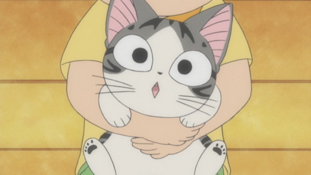 Chi's Sweet Home - Chi's New Address Season 3 Chi, Runs About Here and ...