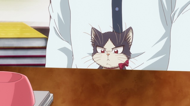 My Roommate is a Cat Sentimientos que van y vienen - Ver en Crunchyroll