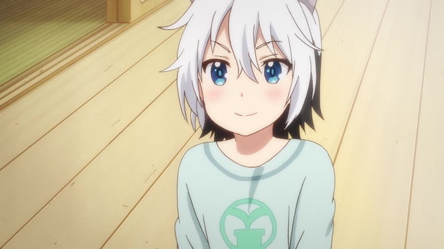 Uchitama?! Have you seen my Tama? Música de festival - Ver en Crunchyroll