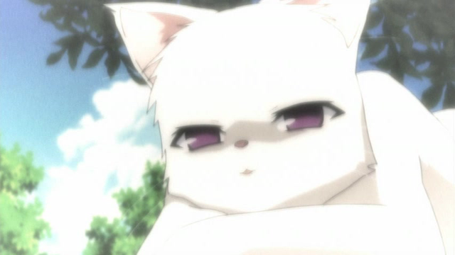Omamori Himari The Cat's Regard and the Magical Girl's Melancholy ...
