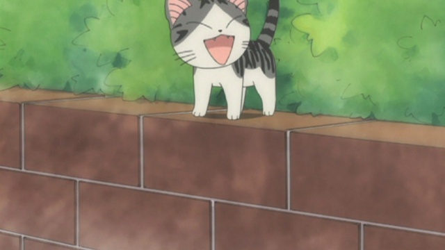 Chi's Sweet Home - Chi's New Address Season 1 Chi, Goes Outside - Watch ...