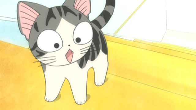 Chi's Sweet Home - Chi's New Address Chi, Goes Climbing. - Ver en ...