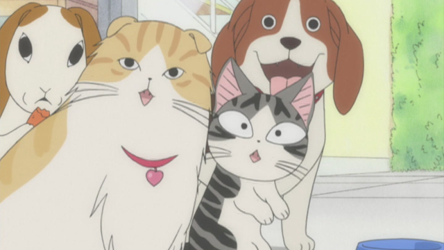 Chi's Sweet Home - Chi's New Address Season 4 Chi, Makes a Family ...