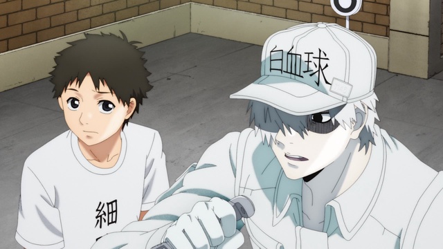 Cells at Work!! (English Dub) Cytokines - Watch on Crunchyroll
